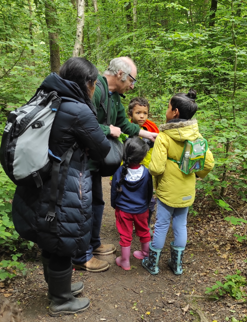 Lovely day in the woods – Harrow Nature Heroes